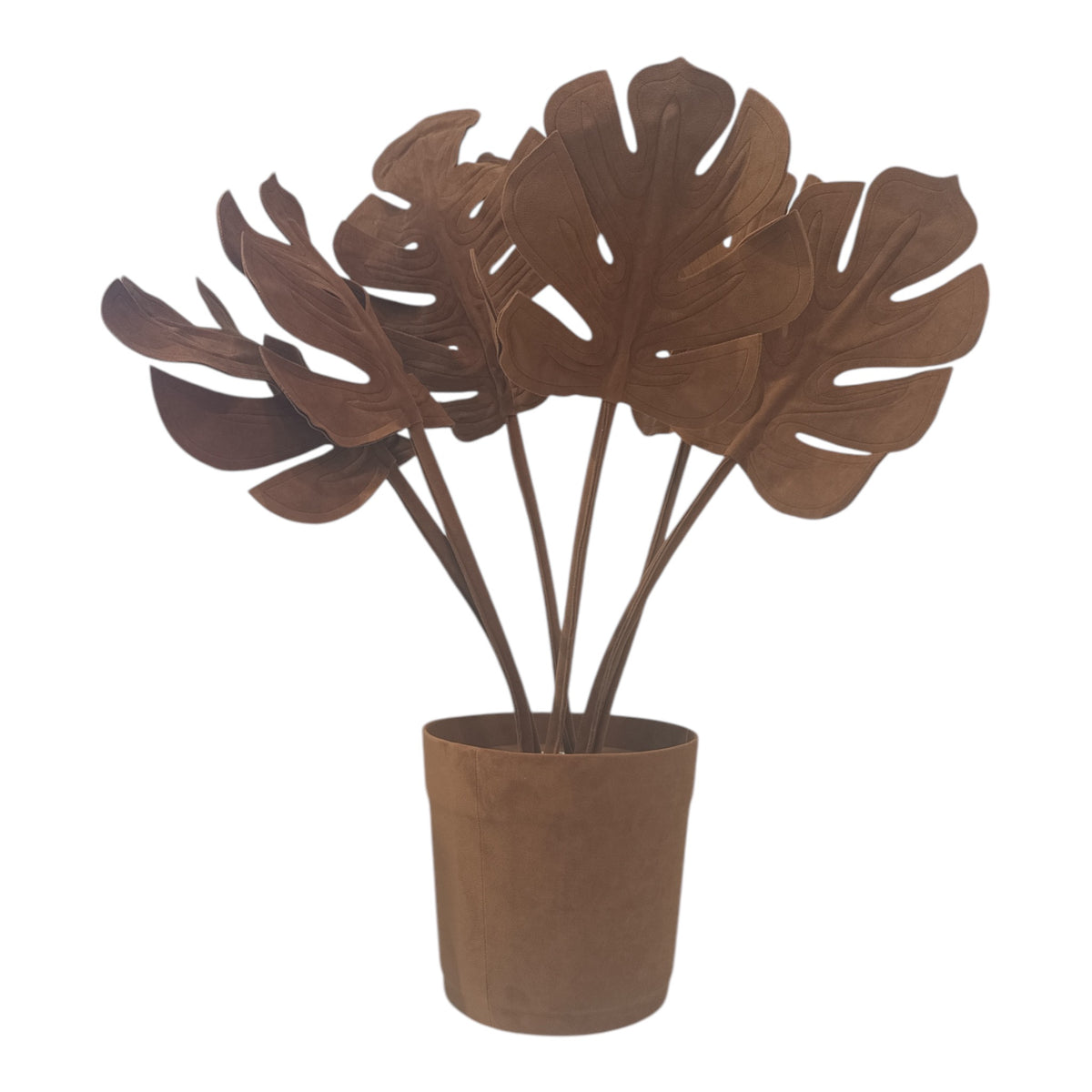 Espada De Sao Suede Plant Medium– ACD Home